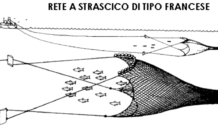 RETE A STRASCICO FRANCESE - MarePesca